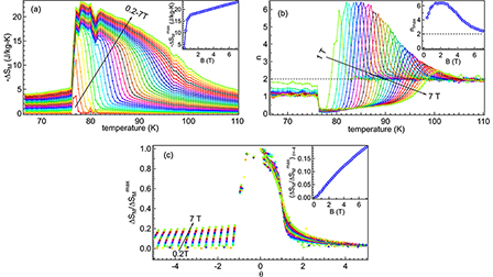 Stability of the first-order character of phase transition in HoCo2 ...