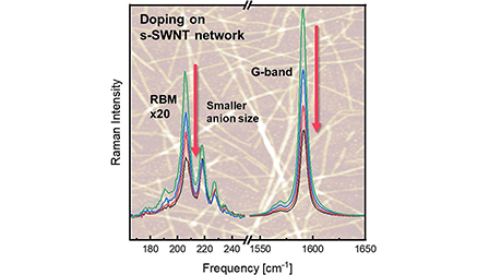 Small sized of anion doping effect on semiconducting single-walled ...