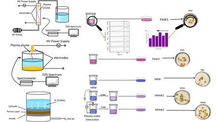 The effect of activated water on lentil seed germination utilizing ...