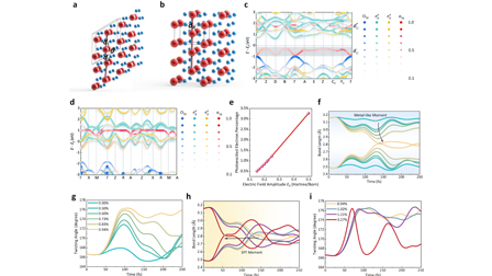 Metal-like monoclinic phase and terahertz characteristics in ultrafast phase transition of ...