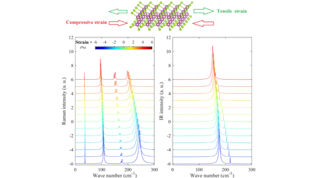 Strain-induced variations in the Raman and infrared spectra of ...