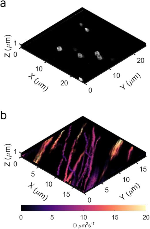 A practical guide to light-sheet microscopy for nanoscale imaging ...