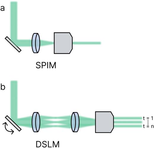 A practical guide to light-sheet microscopy for nanoscale imaging ...