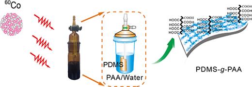 An innovative and rapid method for permanent hydrophilic modification ...