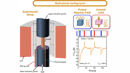 Multicaloric effect in FeRh, exploiting the thermal hysteresis in a ...
