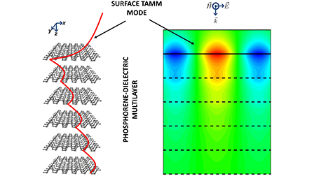 Tunable anisotropic surface Tamm modes in one-dimensional phosphorene ...