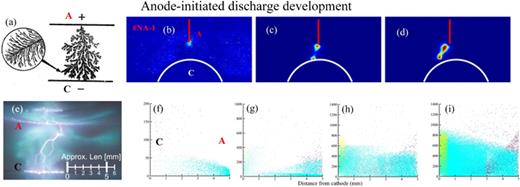 Global model for flashover phenomena in vacuum: A comprehensive ...