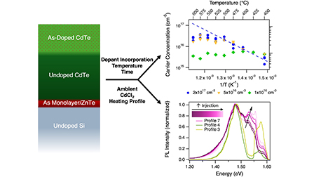 Arsenic activation and compensation in single crystal CdTe bilayers ...
