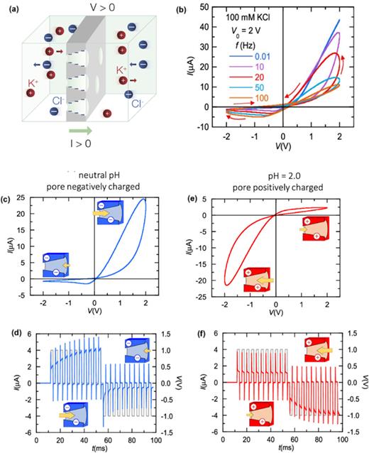 Introduction to neuromorphic functions of memristors: The inductive ...