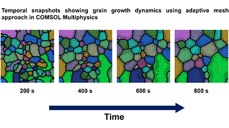 Exploring the dynamics of grain growth and coarsening in polycrystalline materials through ...