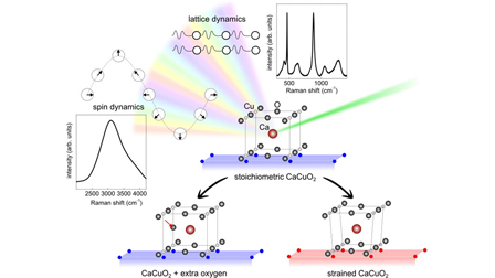 On the role of strain- and doping-induced disorder in epitaxial CaCuO2 ...