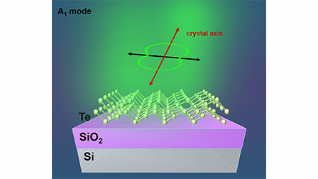 Angle-resolved Raman scattering study of anisotropic two-dimensional ...