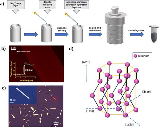 Angle-resolved Raman scattering study of anisotropic two-dimensional ...