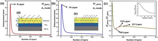 Angle-resolved Raman scattering study of anisotropic two-dimensional ...