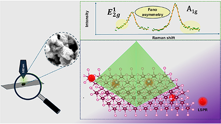 Probing the vibrational modes and Fano resonance of gold nanoparticles ...