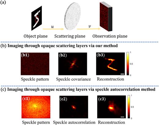 Non-invasive single-shot wide-field imaging through dynamic thick scattering media base on a ...