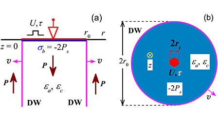Charge compensation model for the lateral expansion of ferroelectric ...
