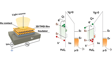 Energy band alignment in MoS2/HfO2: Transfer-related artifacts and ...