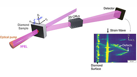 Dark-field x-ray microscopy for 2D and 3D imaging of microstructural dynamics at the European x ...