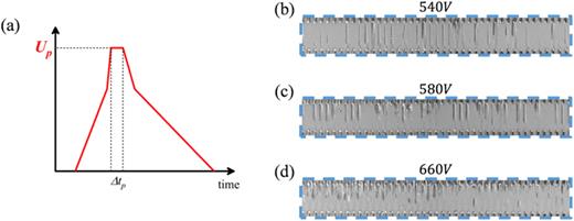 High-quality periodic poling and efficient domain characterization of x ...