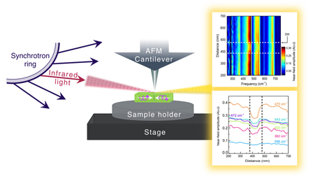 Near-field infrared imaging of polar domain walls in Ni3TeO6 | Journal ...