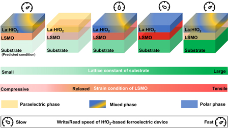 Substrate-engineered ferroelectric phase stabilization and polarization ...
