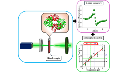 Z-scan as a hemoglobin sensor: A simple and sensitive optical tool for ...