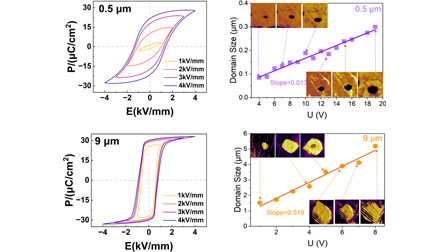 Microscopic mechanisms of grain size effects on domain switching in ...