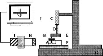 Indentation of a square elastomeric thin film by a flat-ended ...