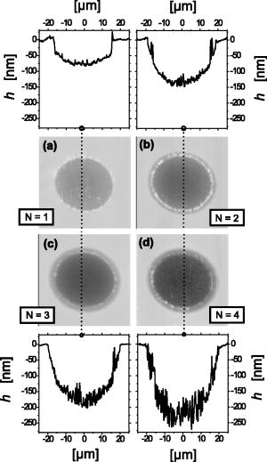Structure formation on the surface of indium phosphide irradiated by ...