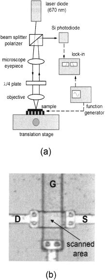 Thermoreflectance microscopy applied to the study of electrostatic ...