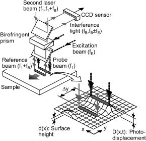 Real-time photodisplacement imaging using parallel excitation and parallel heterodyne ...