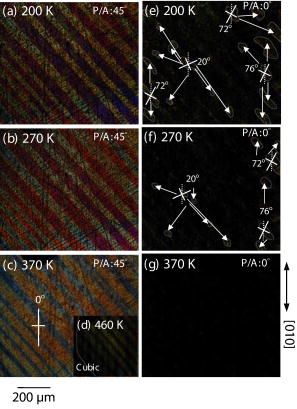 Temperature- and electric-field-dependent domain structures and phase ...