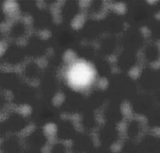 Biased diffusion of Si magic clusters on Si(111) surface | Journal of ...