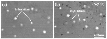Effects of surface topology on the formation of oxide islands on Cu ...