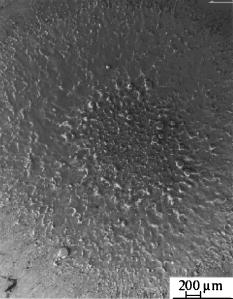 Spongelike metal surface generated by laser in the semiconfined ...