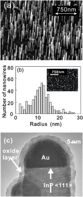High-resolution x-ray diffraction analysis of epitaxially grown indium ...