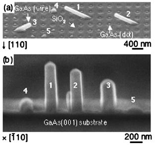 Anisotropy of selective epitaxy in nanoscale-patterned growth: GaAs ...