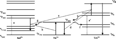 Enhancement of blue upconversion mechanism in YLiF4:Yb:Tm:Nd crystals ...