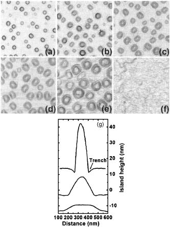Evolution of Ge∕Si(001) islands during Si capping at high temperature ...