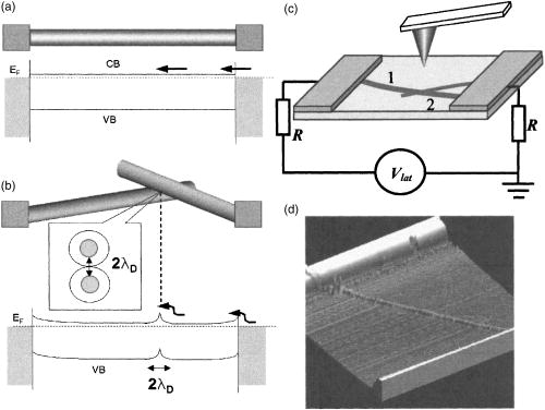 Electronic transport imaging in a multiwire SnO2 chemical field-effect ...
