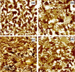 Fatigue-induced evolution of domain structure in ferroelectric lead ...