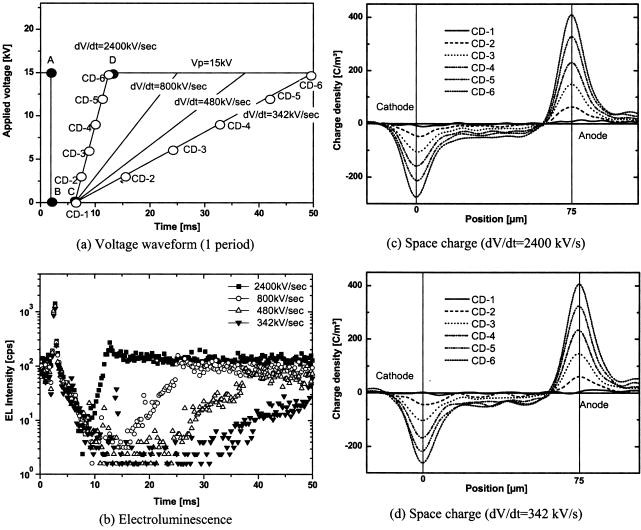 Millisecond time-range analysis of space-charge distribution and ...