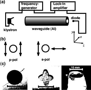 Polarization-dependent measurement of the near-field distribution of a ...