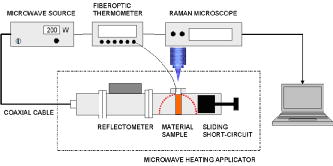 Phase selectivity of microwave heating evidenced by Raman spectroscopy ...