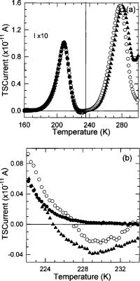 High-temperature polarization and depolarization experiments on poly(⁠ε ...