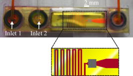 Real-time tunability of chip-based light source enabled by microfluidic ...