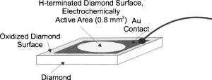 Electronic properties of H-terminated diamond in electrolyte solutions ...