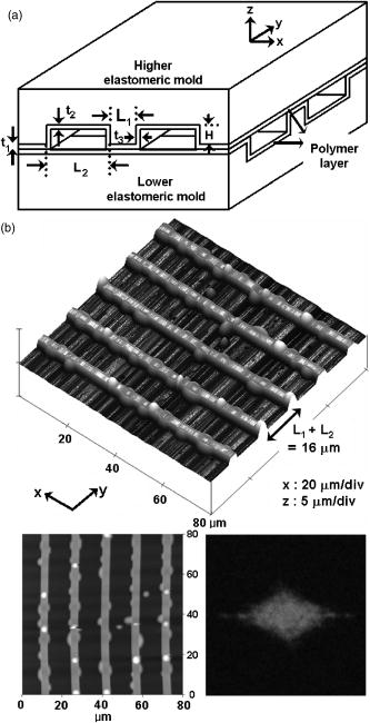 Formation of self-organized anisotropic polymer structures by confined ...