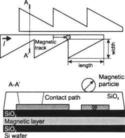 Enhanced magnetic particle transport by integration of a magnetic flux ...